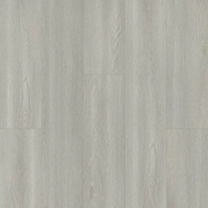 Excel 4V Widebody: Transform Your Space with Ease